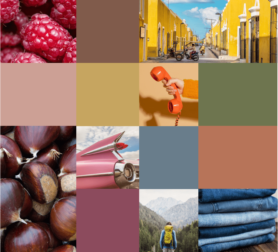 Tarkett launches Johnsonite Color of the Year program - Floor Covering News